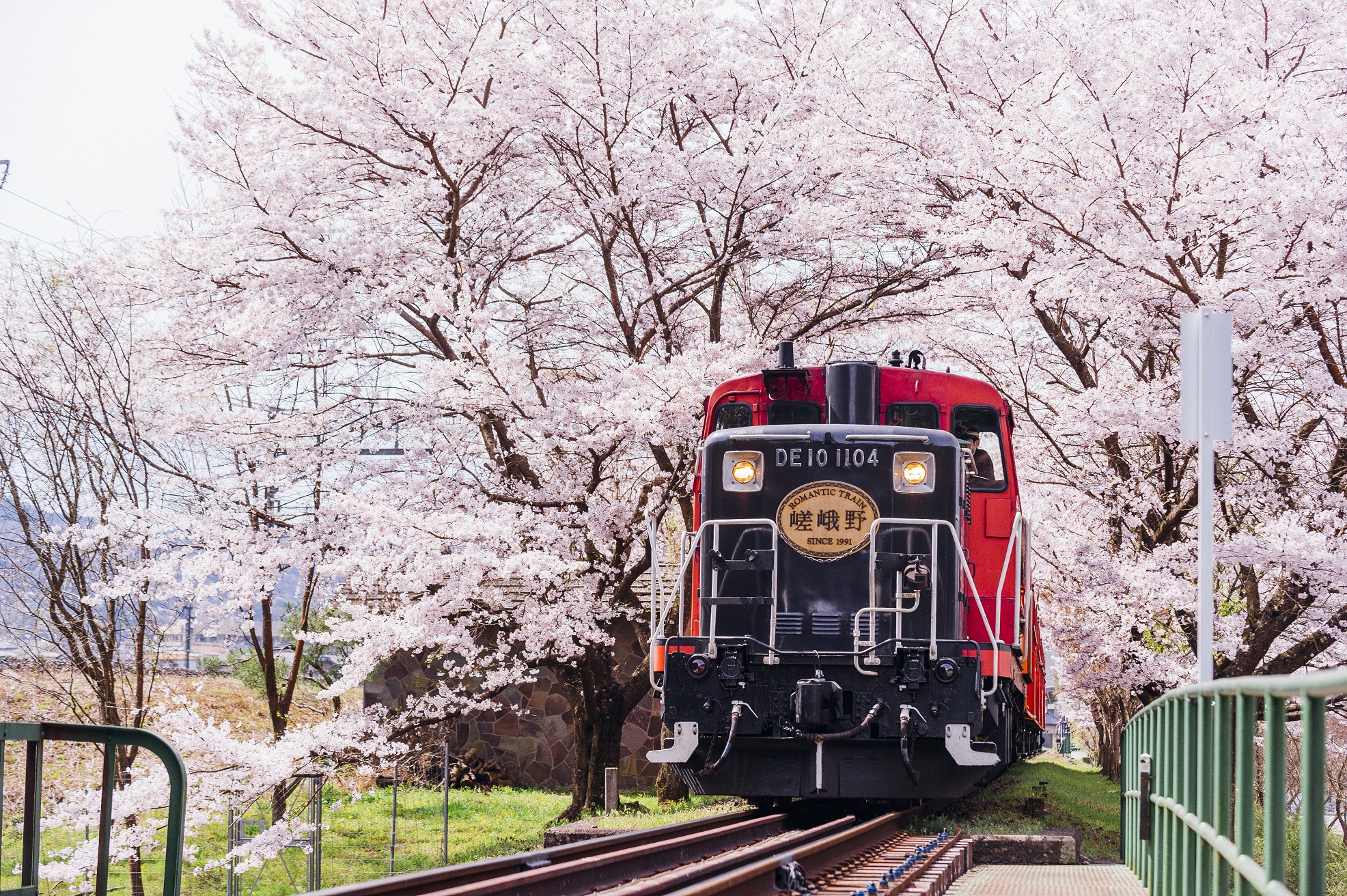 Sagano Romantic Train Kyoto – Trip Halal Jepun